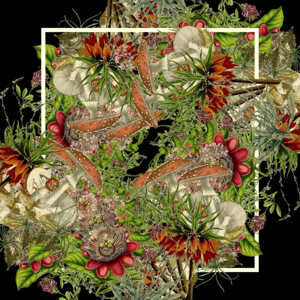 Welcome to DUMBO, Brooklyn! - DUMBO Improvement District